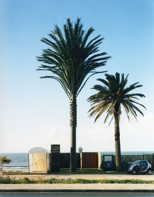 Camouflaged Cell Phone Towers | Amusing Planet